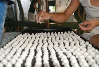 Betulianos: ELABORACION DEL DIABOLIN